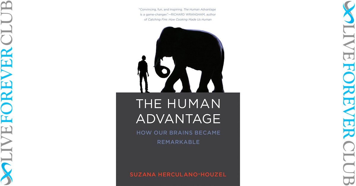 The Human Advantage