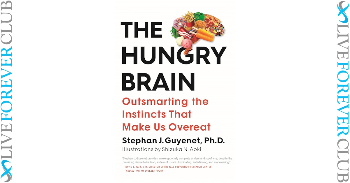 The Hungry Brain