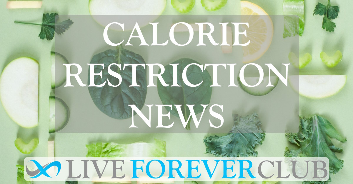 Eating less than 800 calories a day favoured weight loss via hungry ...