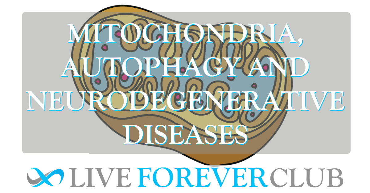 Mitochondria, Autophagy and Neurodegenerative diseases: A perspective