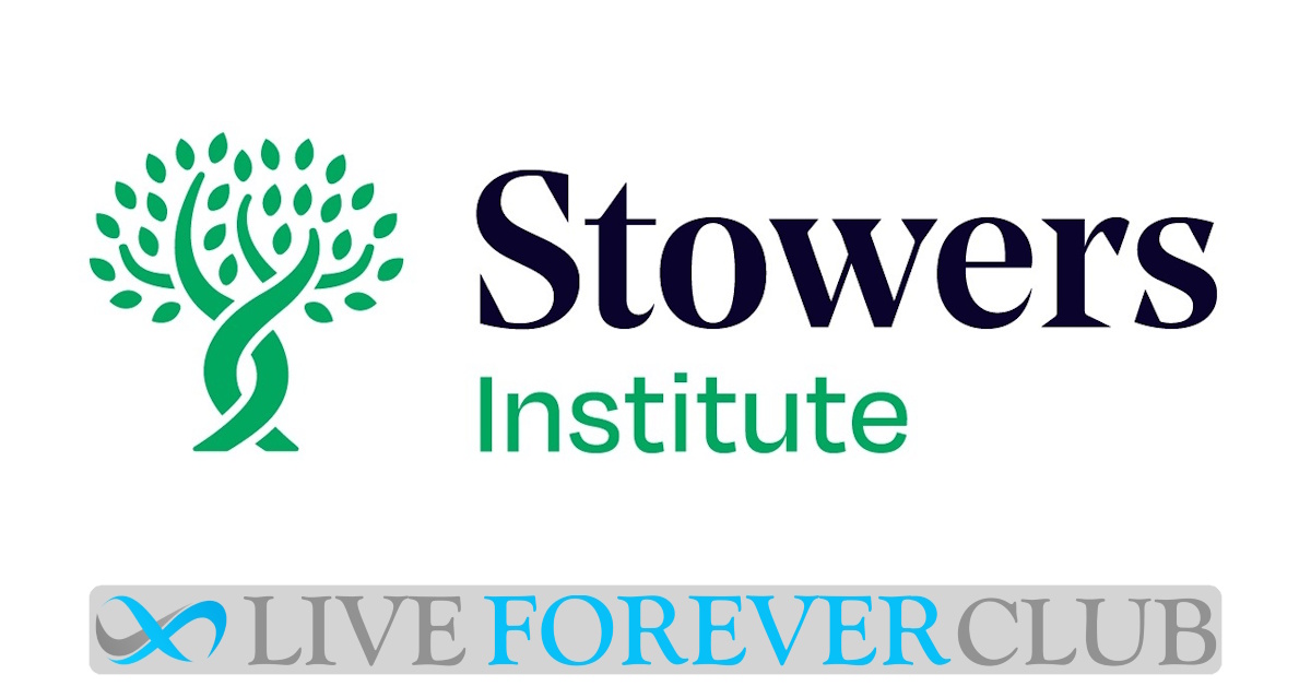 Stowers Institute