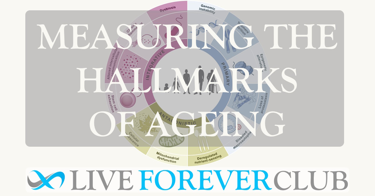 Measuring the hallmarks of ageing – how can you track the underlying ...